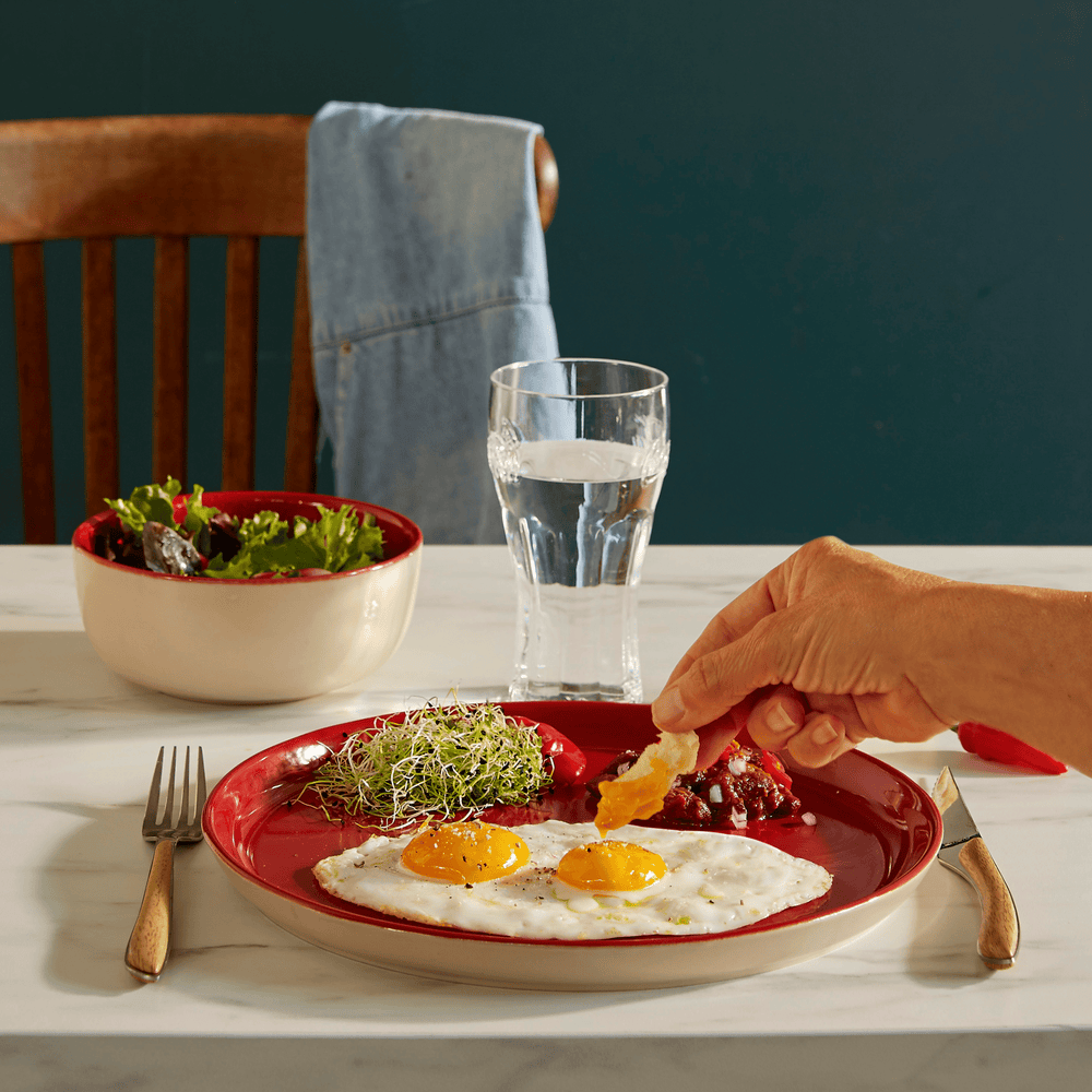 Emile Henry Everyday Dinner Plate- 11", Handcrafted in France since ...